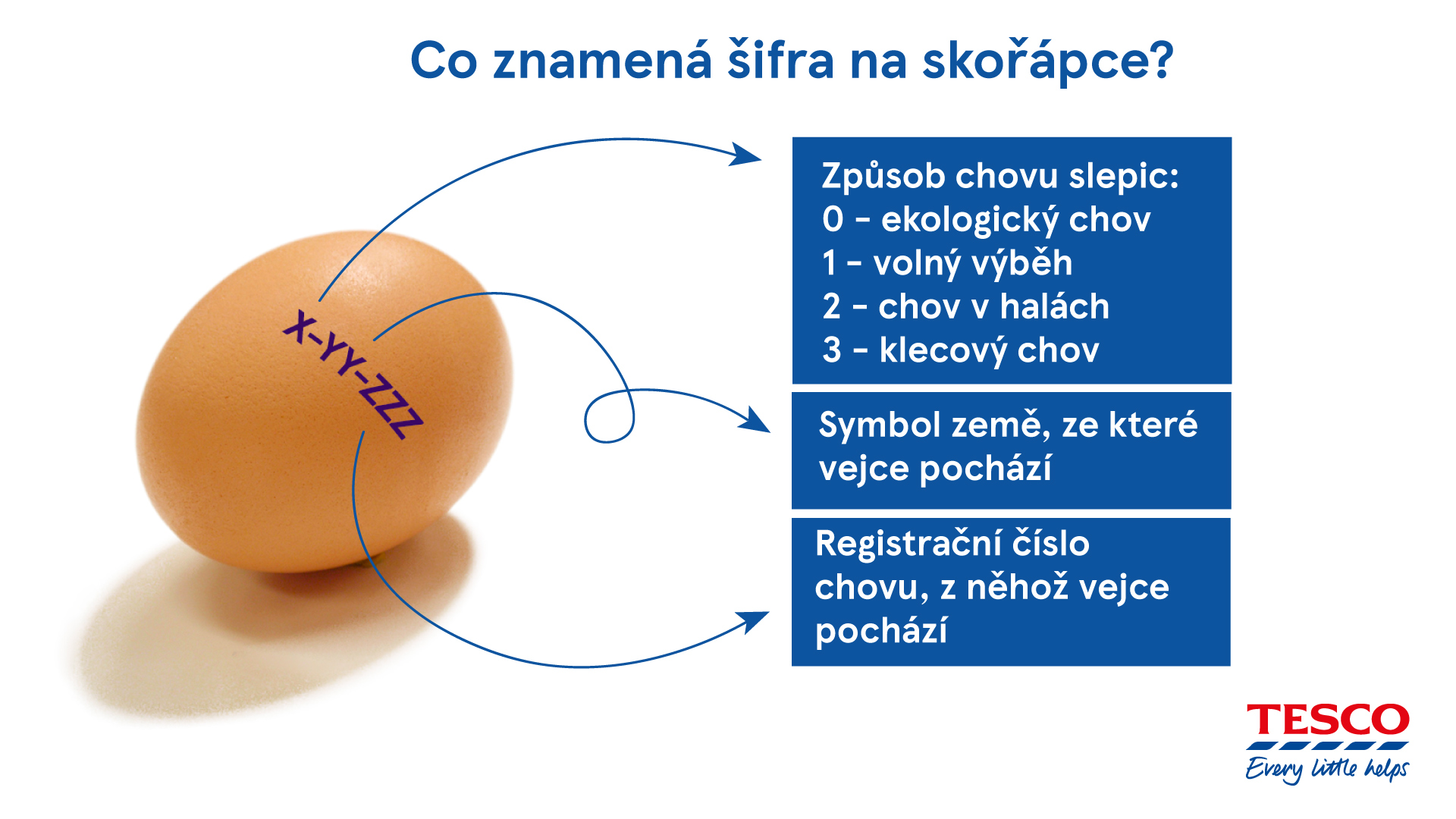 Jak číst informace na vejcích - Vitální senior